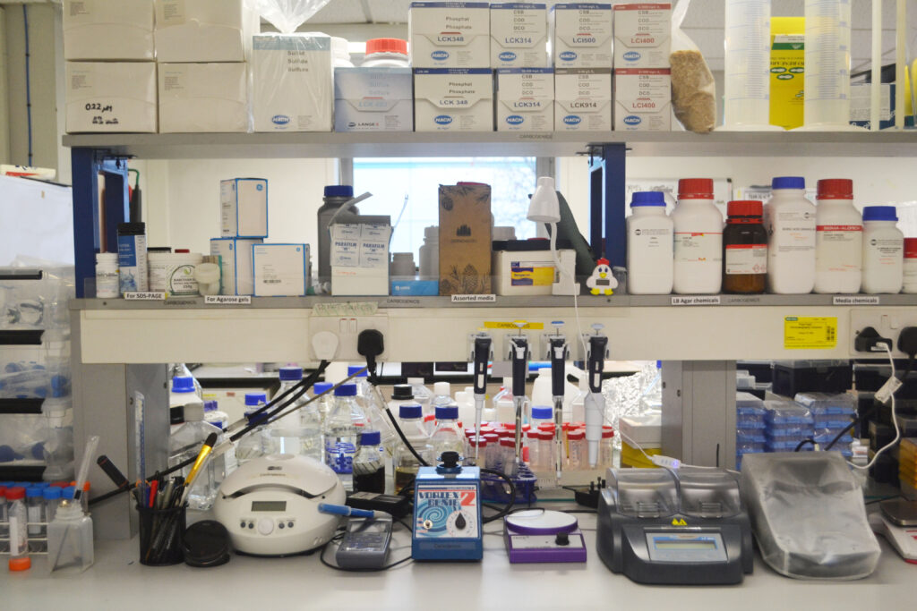 Consultancy - Carbogenics