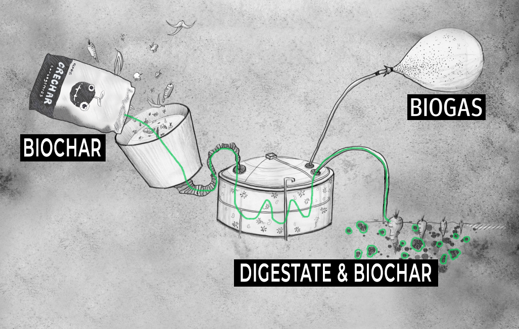 The Role of Biochar in Anaerobic Digestion - Carbogenics